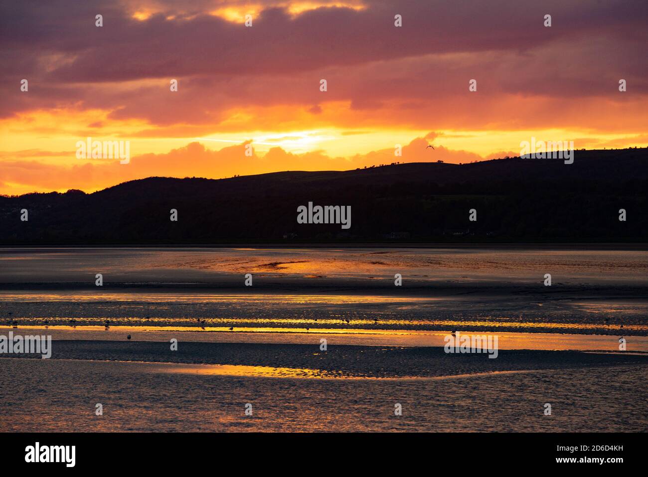 Sunset, Arnside, Cumbria, UK Stock Photo - Alamy