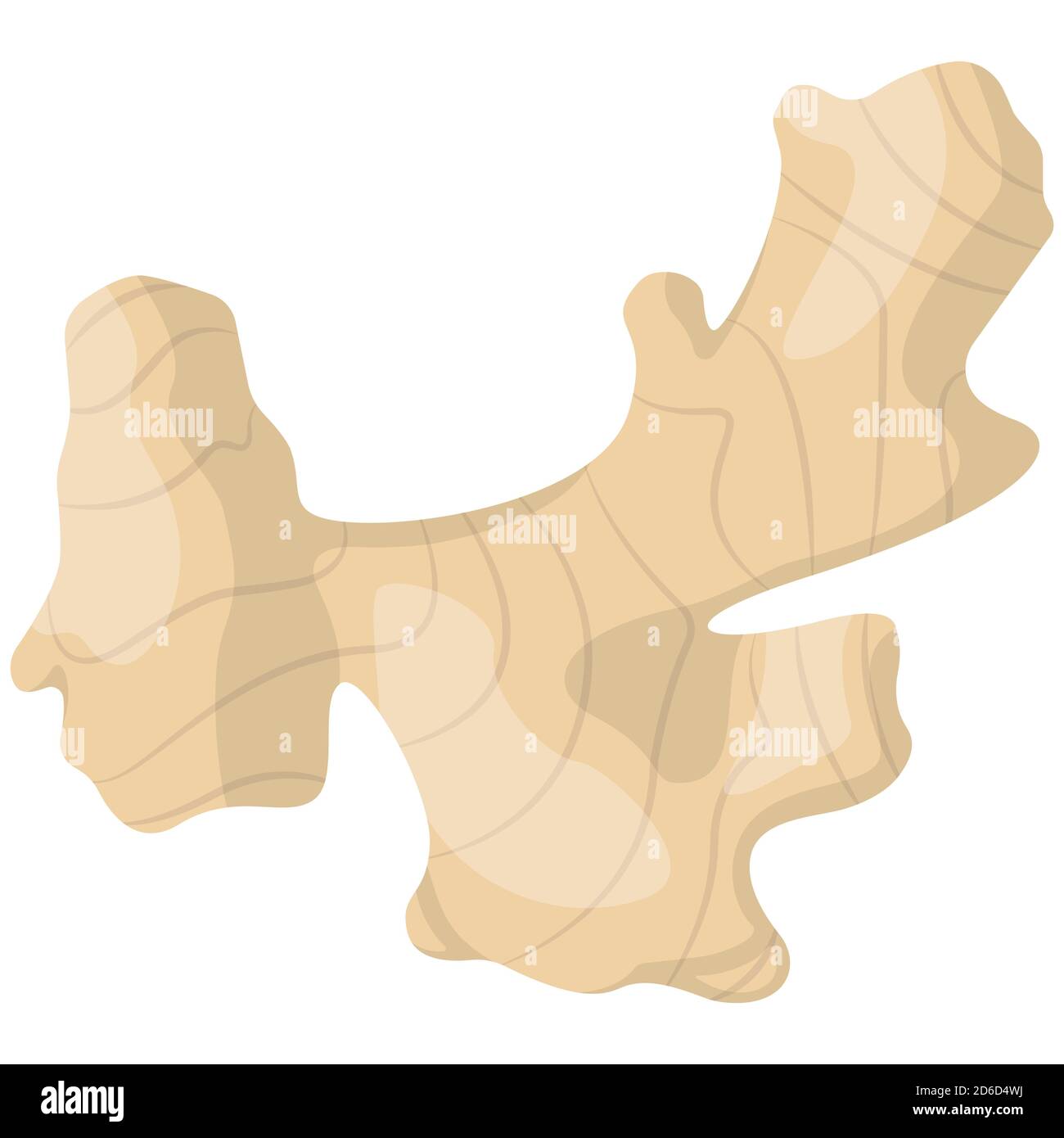 Ginger root in cartoon style. Healthy food Stock Vector Image & Art - Alamy