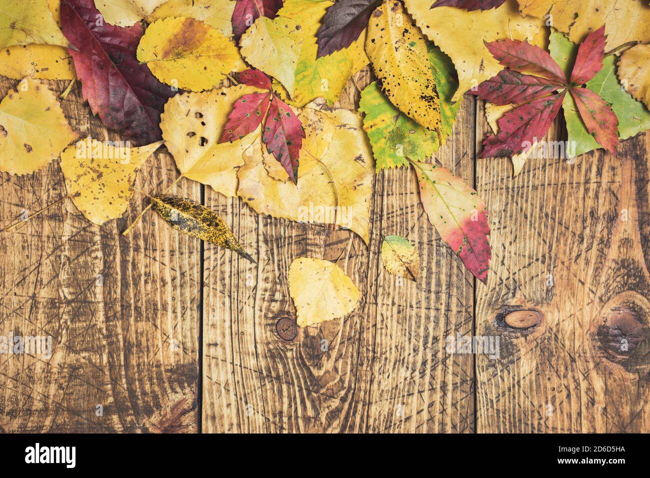 Autumn background with fall leaves on rustic wooden board. Flat lay ...