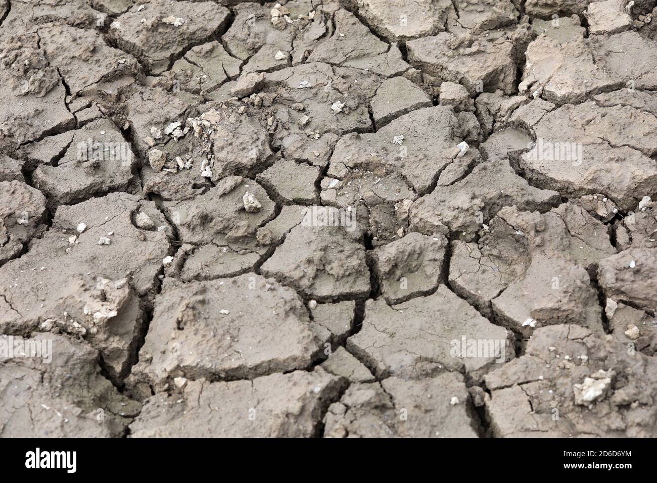 Dried up soil hi-res stock photography and images - Alamy