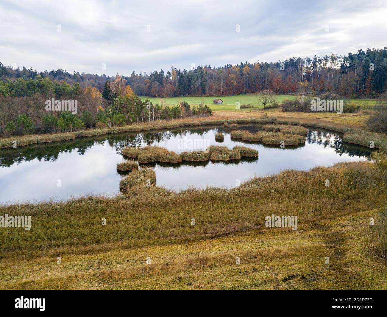 Aerial image of a pond with floating turf mats, which were cut of from ...
