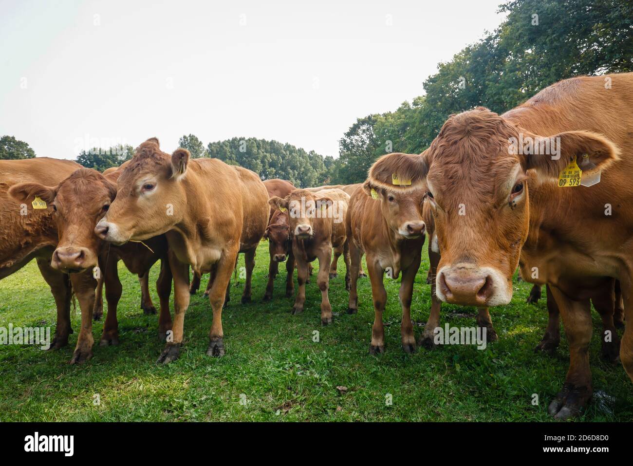 11.09.2020, Kamp-Lintfort, North Rhine-Westphalia, Germany ...