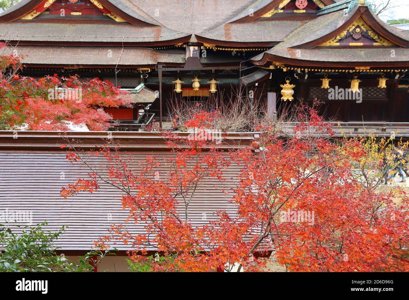 Kyoto autumn. Kitano Tenmangu Shrine and colorful autumn foliage of ...