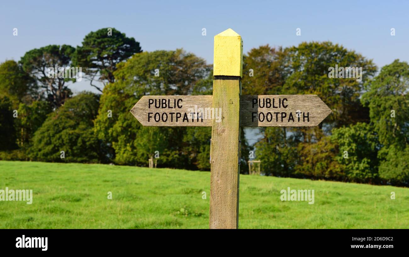 Yellow top hi-res stock photography and images - Alamy