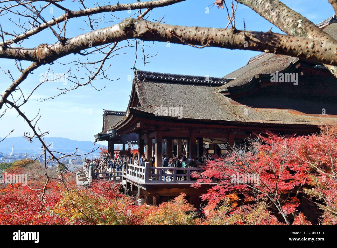 KYOTO, JAPAN - NOVEMBER 26, 2016: People visit Kiyomizu-dera Temple in ... KYOTO, JAPAN - NOVEMBER 26, 2016: People visit Kiyomizu-dera Temple in ...