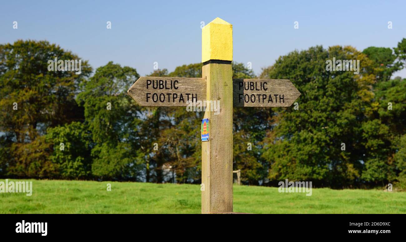 Yellow top hi-res stock photography and images - Alamy