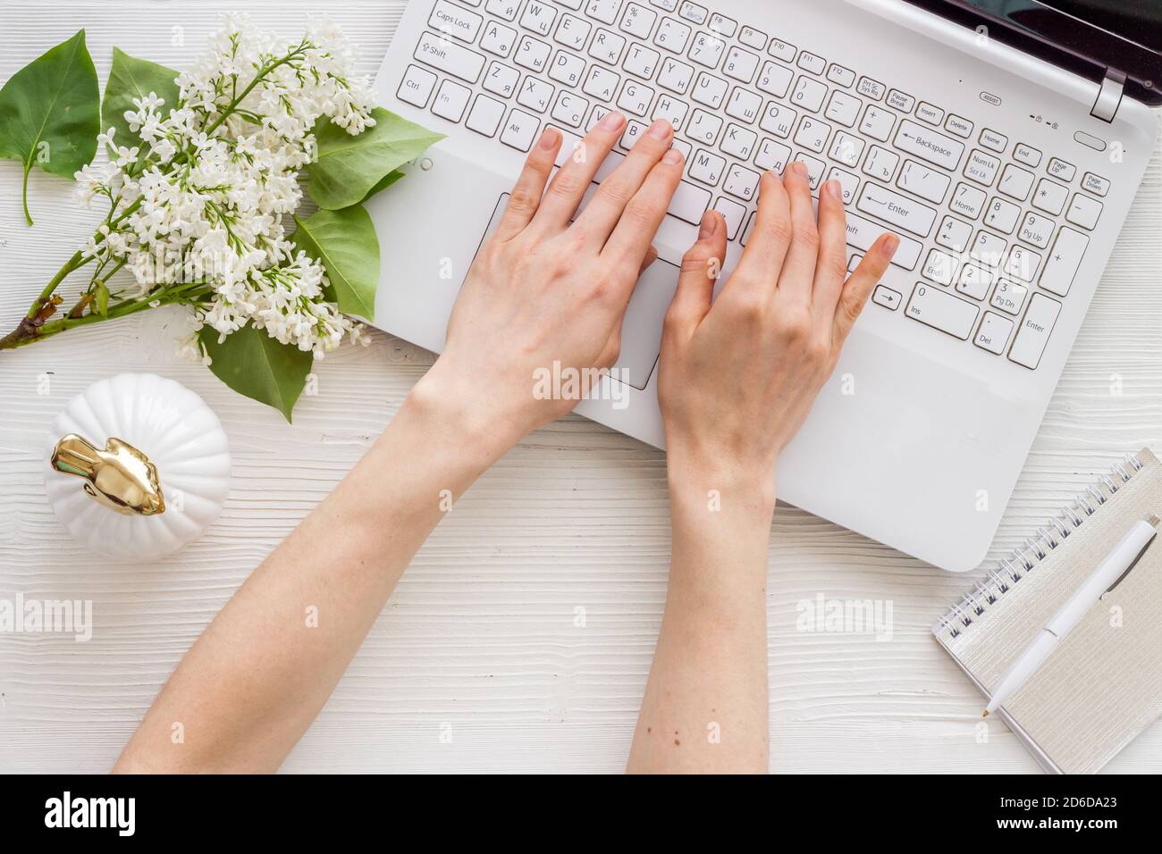 Female hands with laptop. Workplace with jasmine flowers top view Stock ...