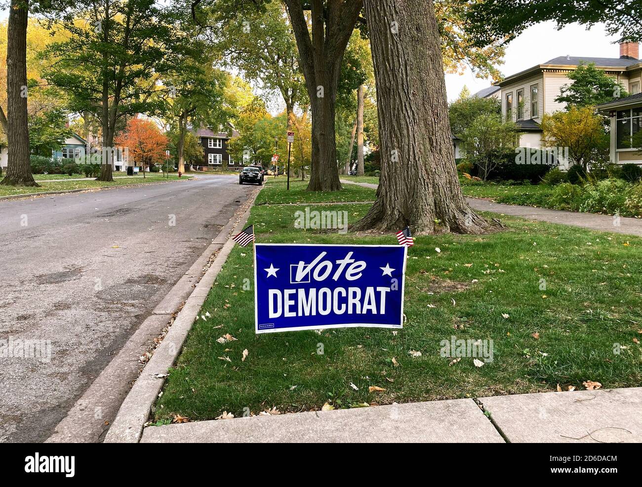 Political Yard Signs for the upcoming presidential election in the ...