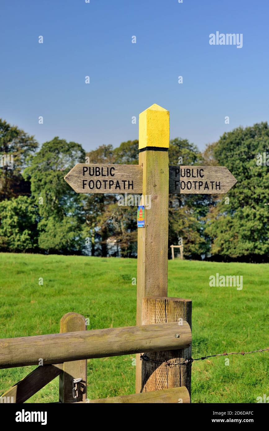 Yellow top hi-res stock photography and images - Alamy