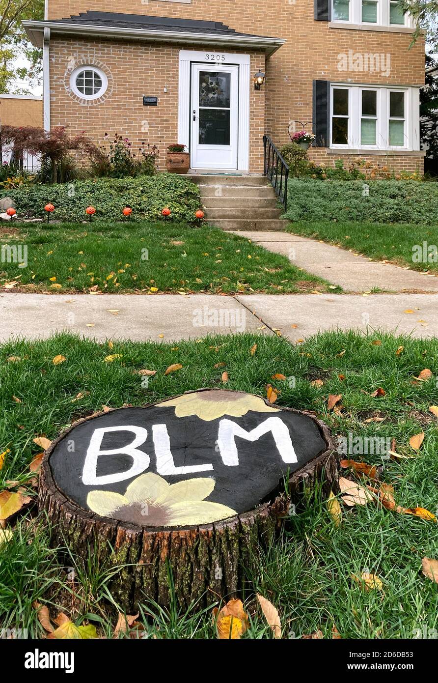 BLM for Black Lives Matter on a tree disc in a front yard of Evanston ...