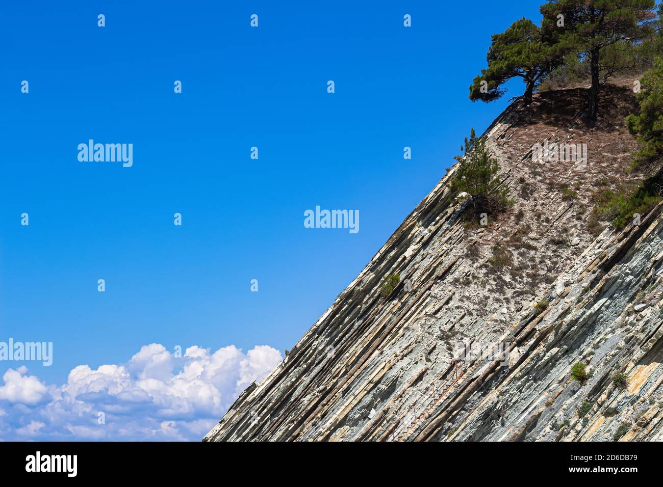 The top of the cliff with trees against the bright blue sky with clouds ...