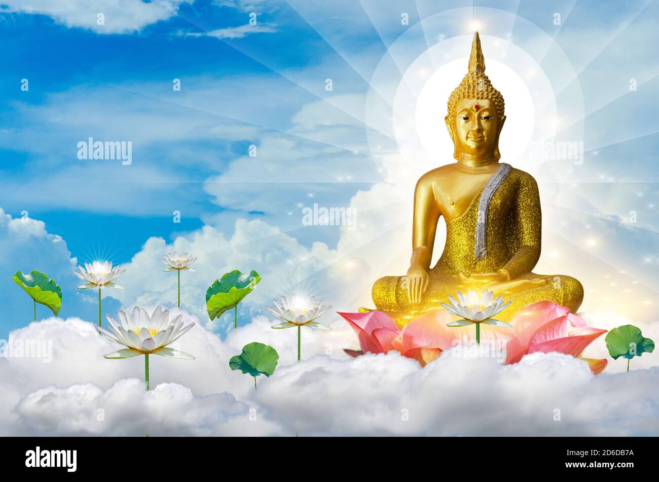 Buddha floating in heaven, sky on lotus flower on orange background ...