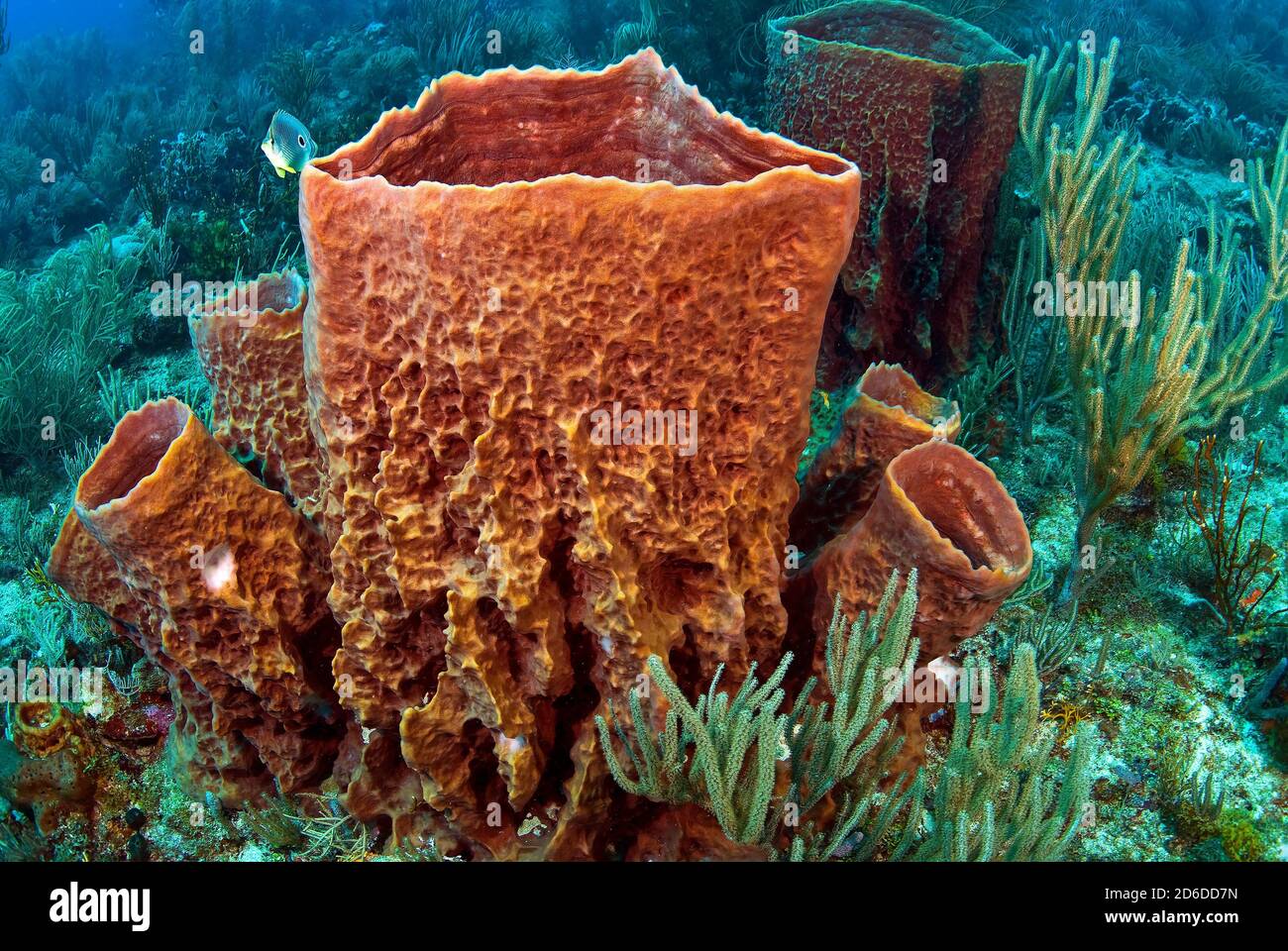Rosario reefs hi-res stock photography and images - Alamy