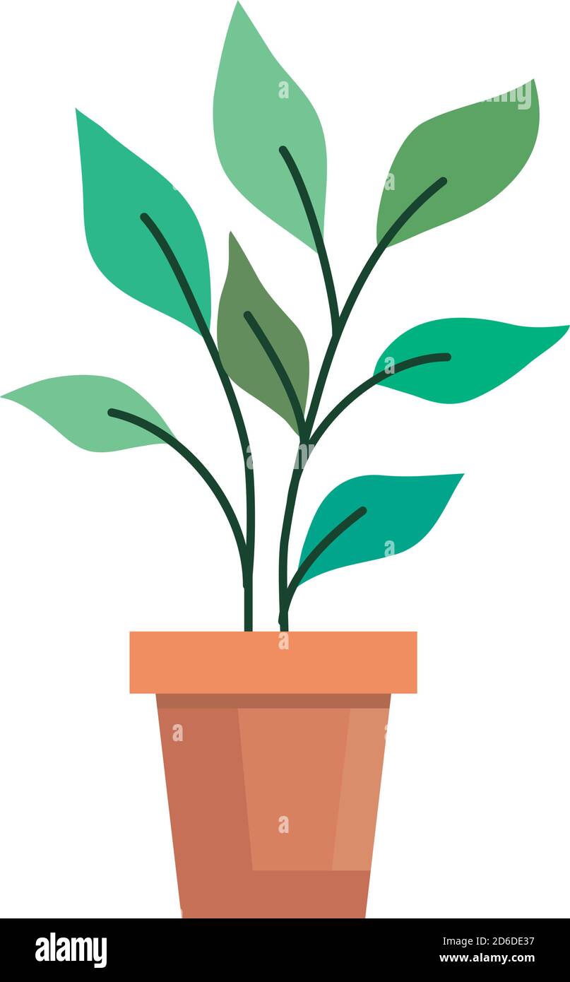 plant inside pot vector design Stock Vector Image & Art - Alamy