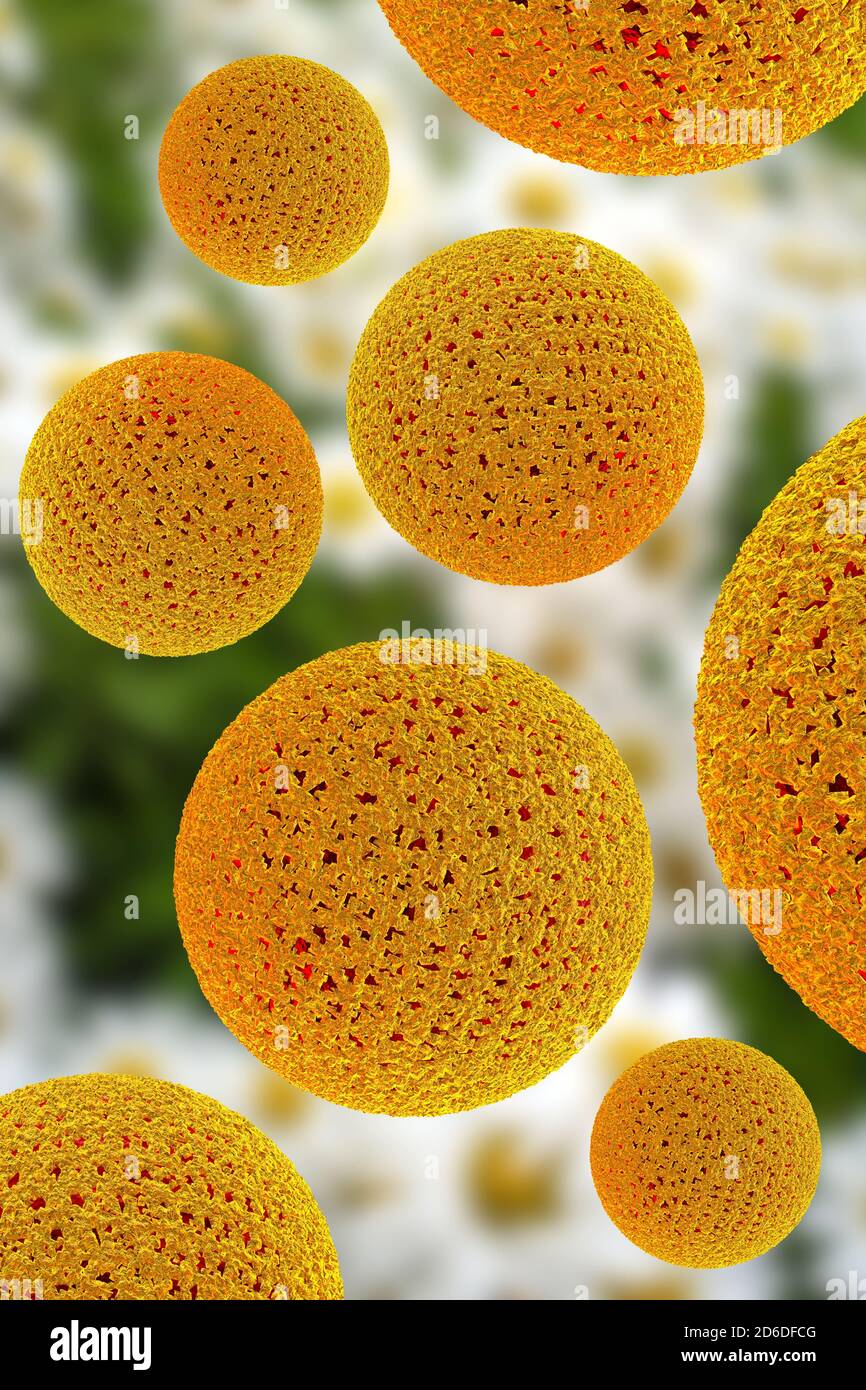 Closeup flower pollen grain particles for use for allergy background 3D ...