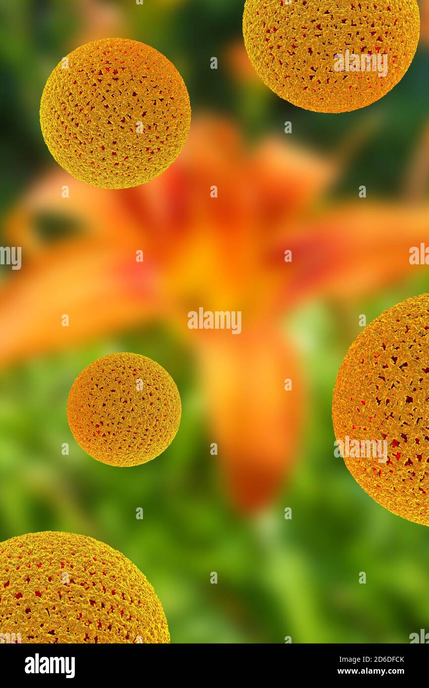 Closeup flower pollen grain particles for use for allergy background 3D ...