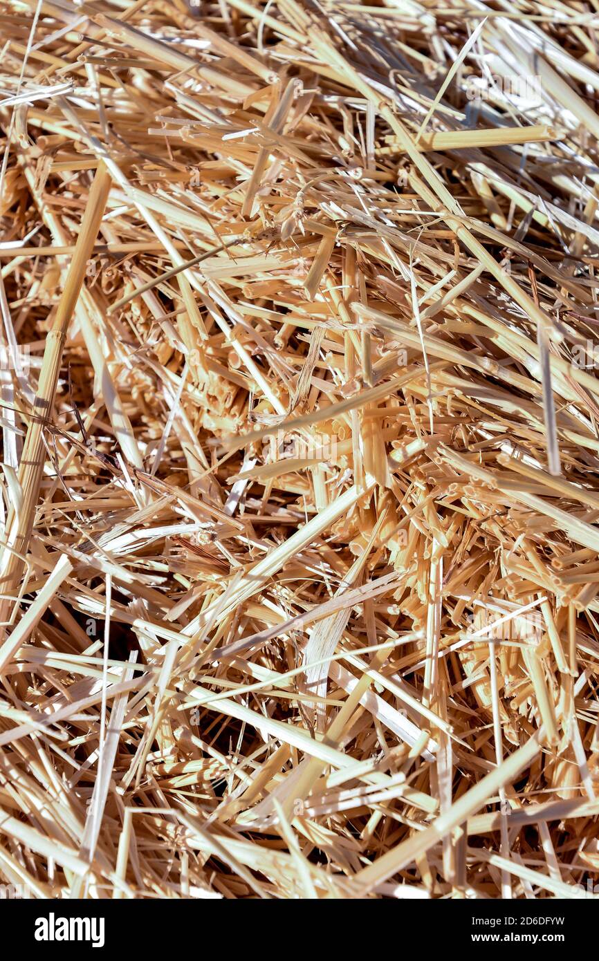 Background The natural texture of dry straw Stock Photo - Alamy