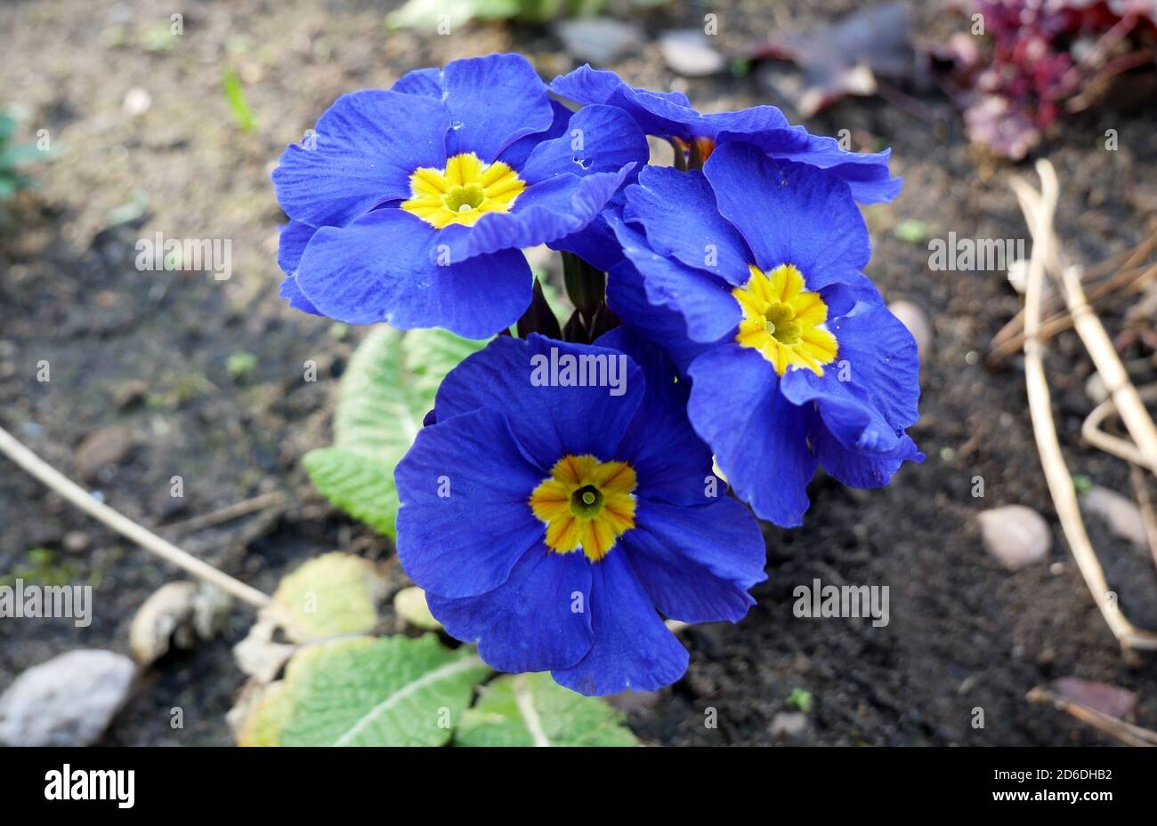 Spring began hi-res stock photography and images - Alamy