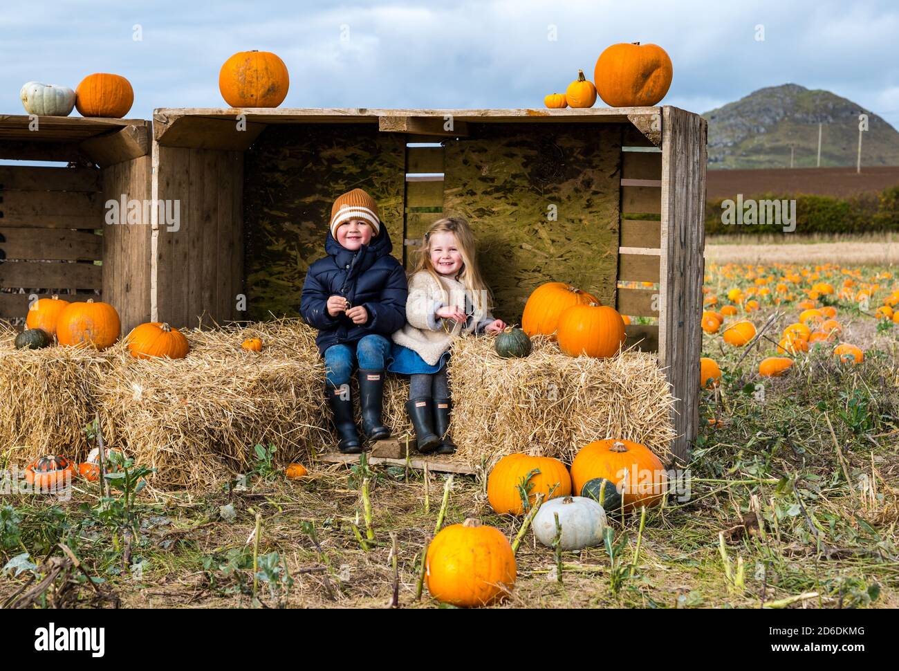 Sister sophia hi-res stock photography and images - Alamy