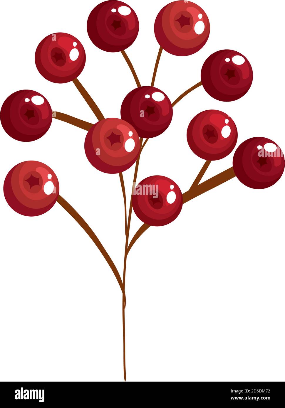 merry christmas berries vector design Stock Vector Image & Art - Alamy