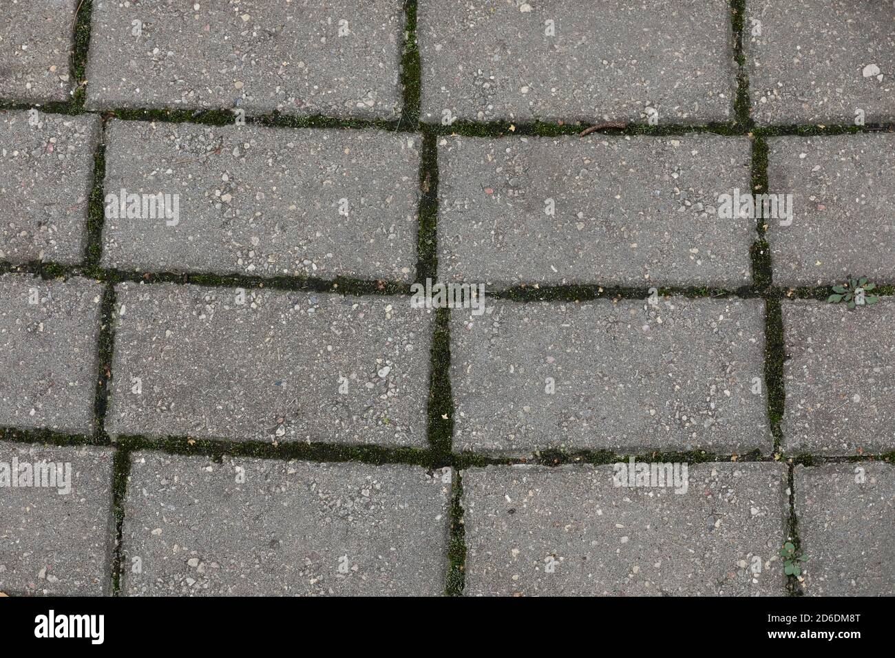 Paving stone texture. Abstract stone wallpaper Stock Photo - Alamy