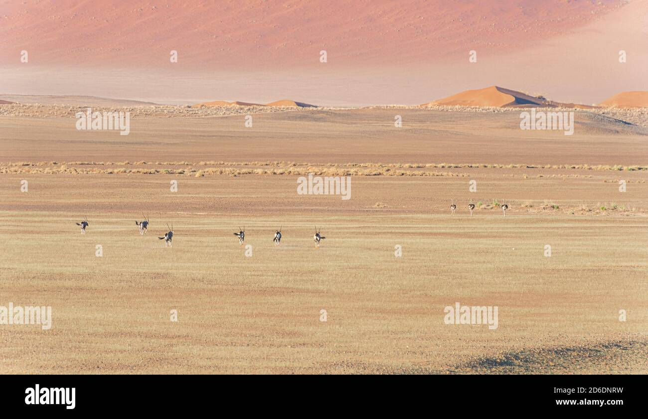 Drivers eye view hi-res stock photography and images - Alamy