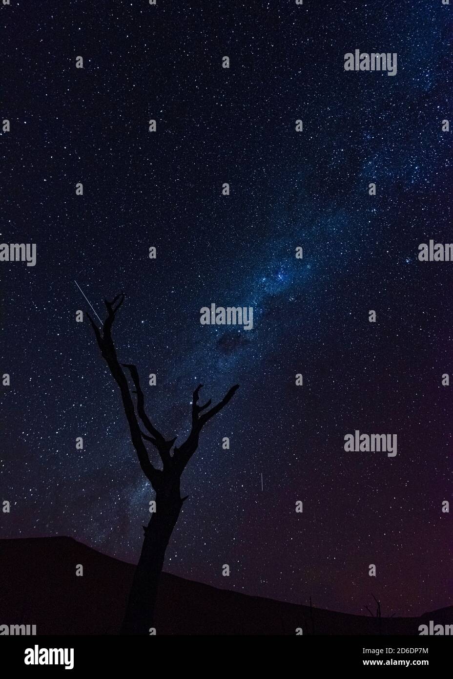 Deadvlei in Namibia: Milky Way, in the foreground a dead camel thorn ...