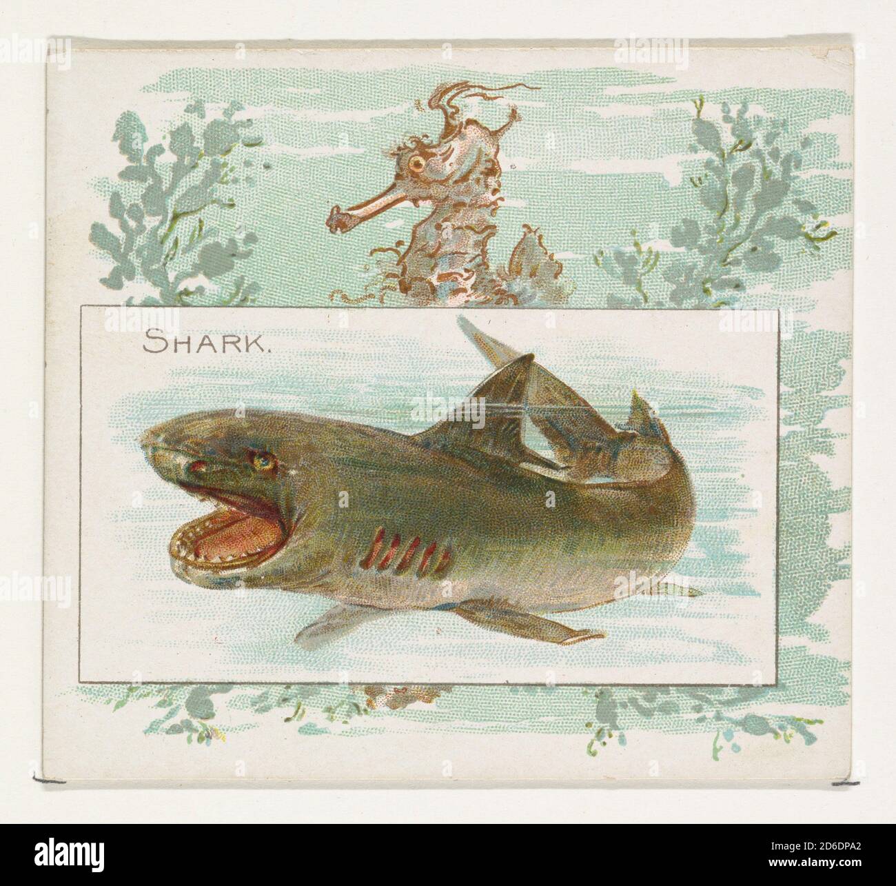 Great white shark jaws film hi-res stock photography and images - Alamy