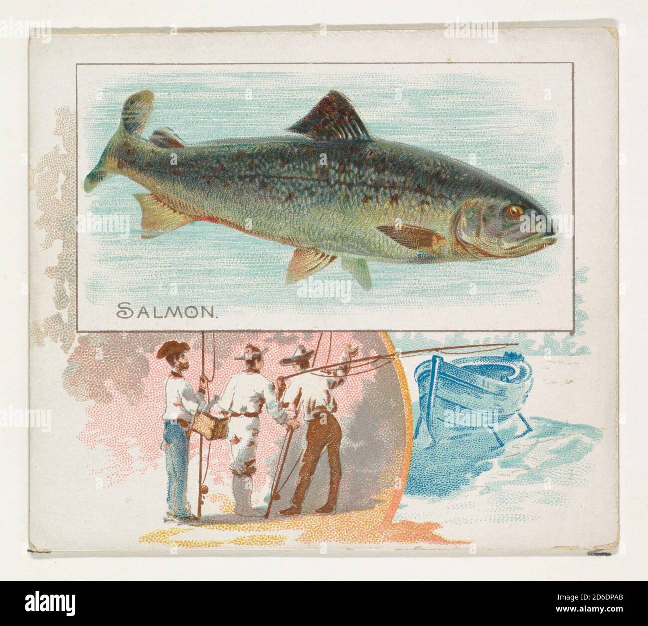 Salmon, from Fish from American Waters series (N39) for Allen & Ginter ...