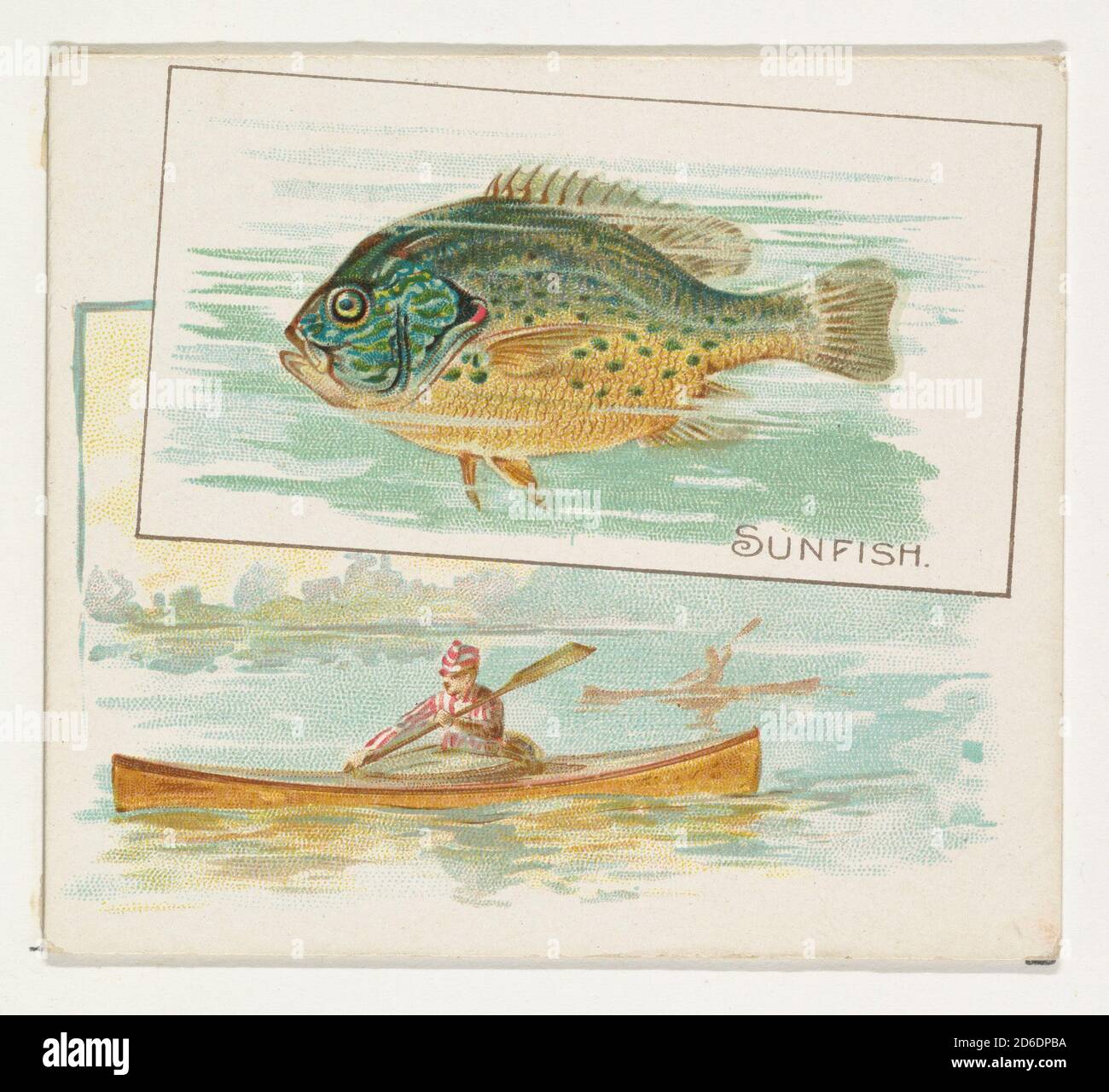 Sunfish art hi-res stock photography and images - Alamy