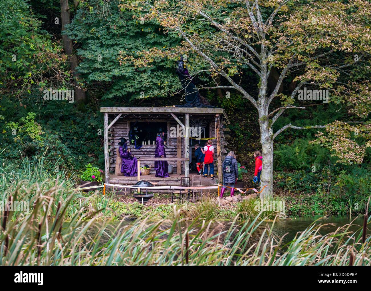 East Lothian, Scotland, United Kingdom, 16th October 2020. Pumpkin ...