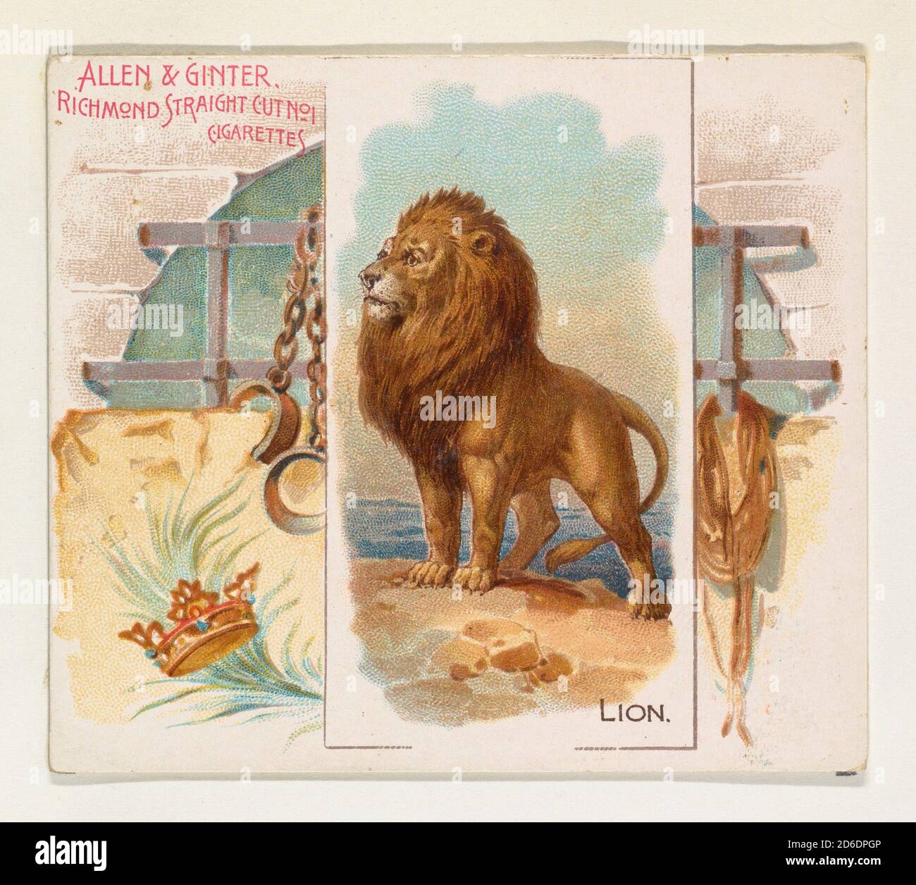 Lion, from Quadrupeds series (N41) for Allen & Ginter Cigarettes, 1890 ...