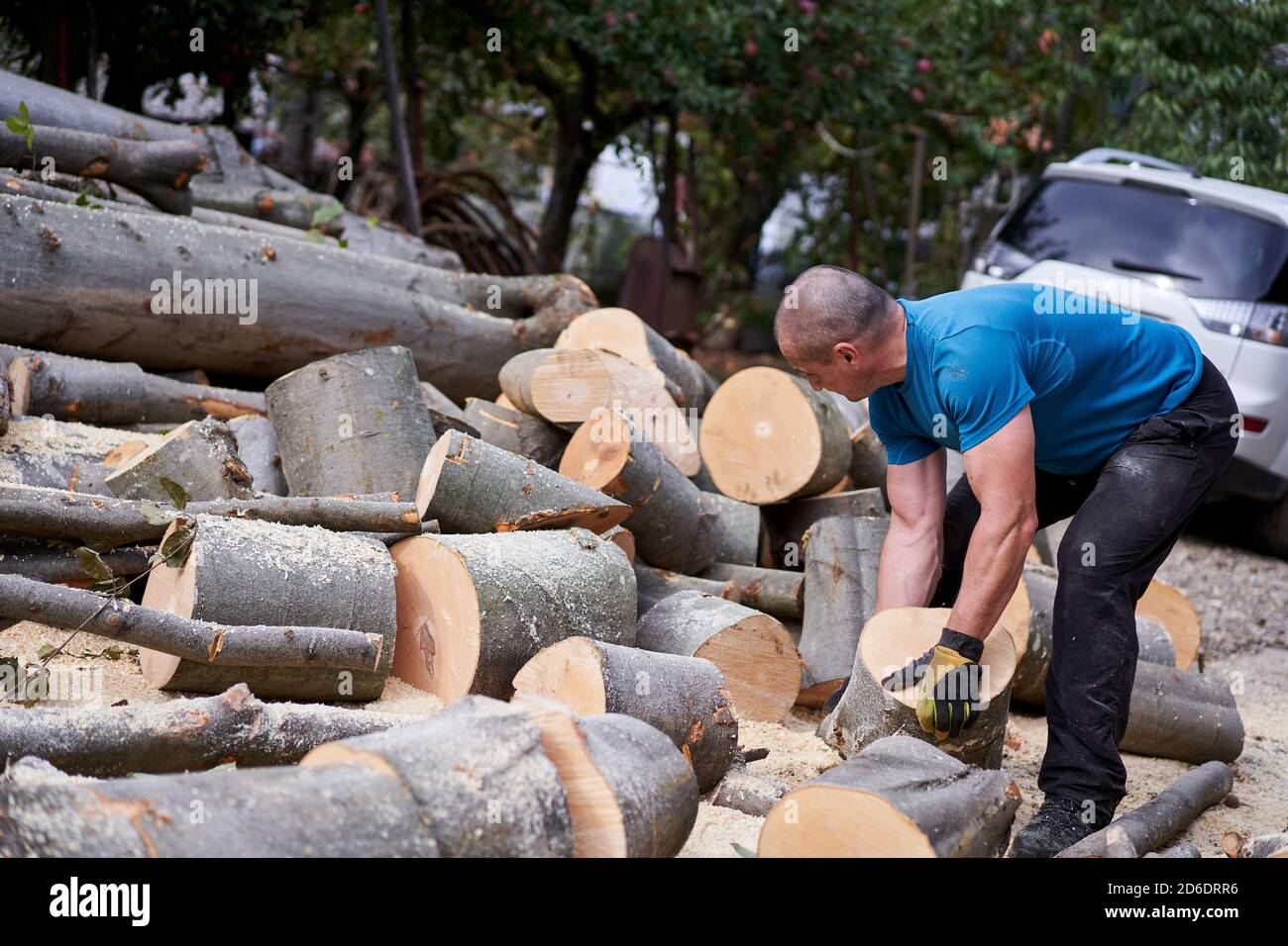 Farmer with chainsaw logging some beech wood at home Stock Photo - Alamy