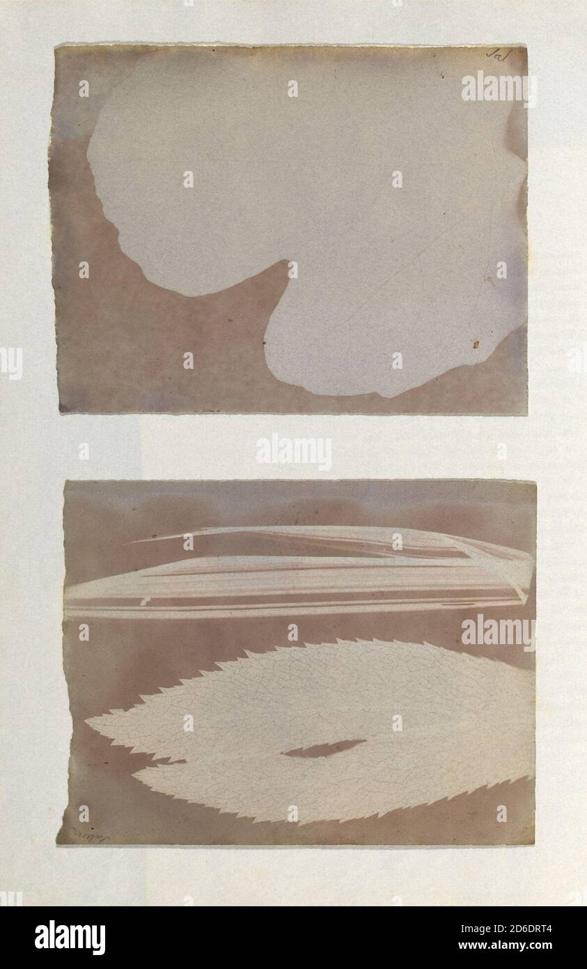 Photogenic drawing hi-res stock photography and images - Alamy