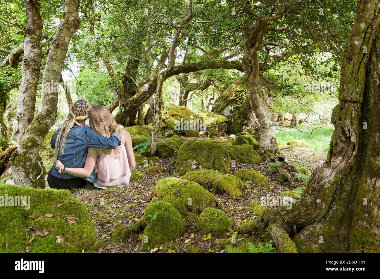 Two women sit arm in arm in the forest, back view Stock Photo - Alamy