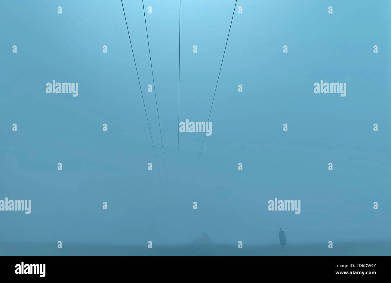 Power lines in the fog Stock Photo - Alamy