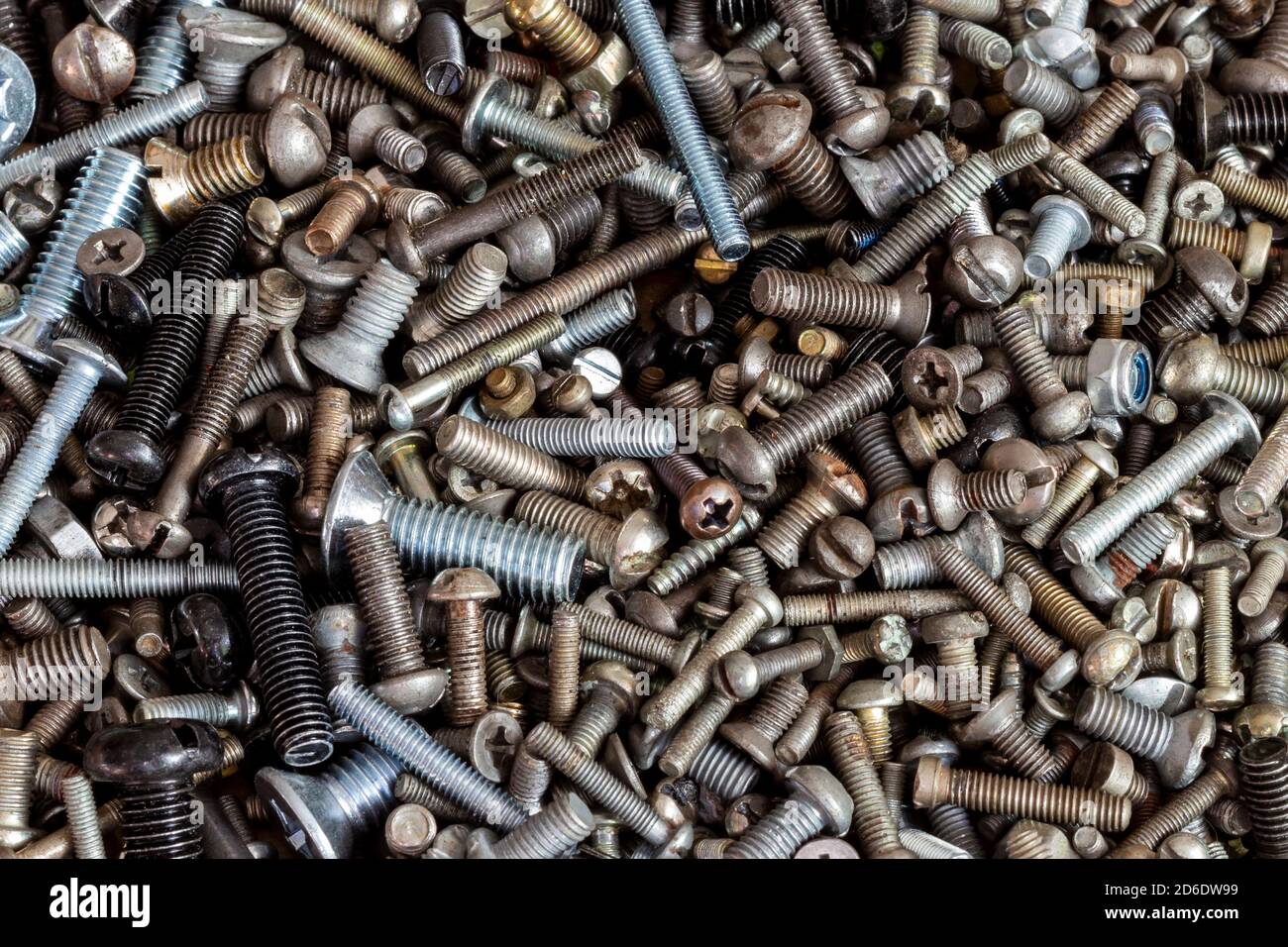 A bunch of screws, different sizes and diameters, with different slots ...