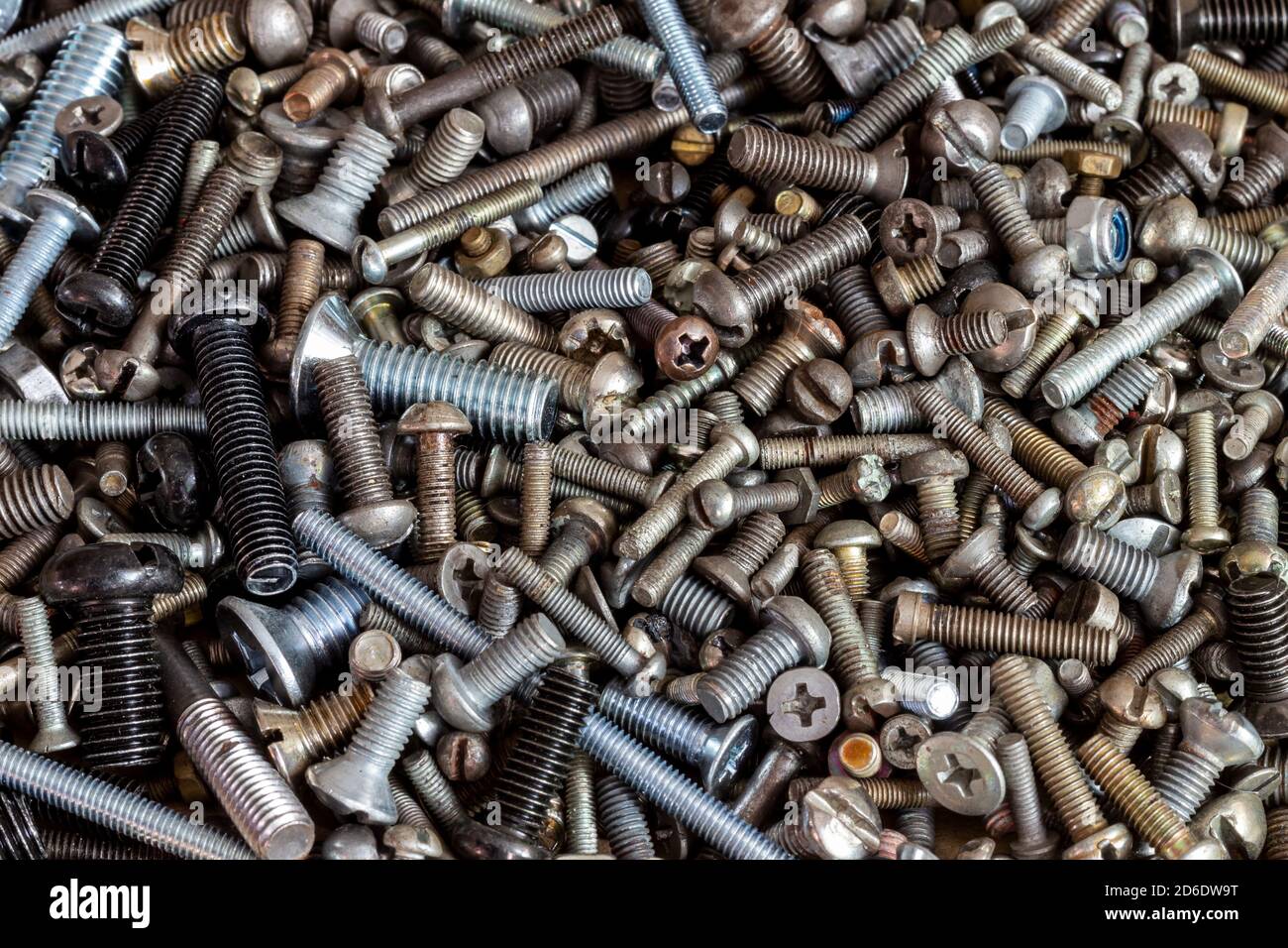 A bunch of screws, different sizes and diameters, with different slots ...