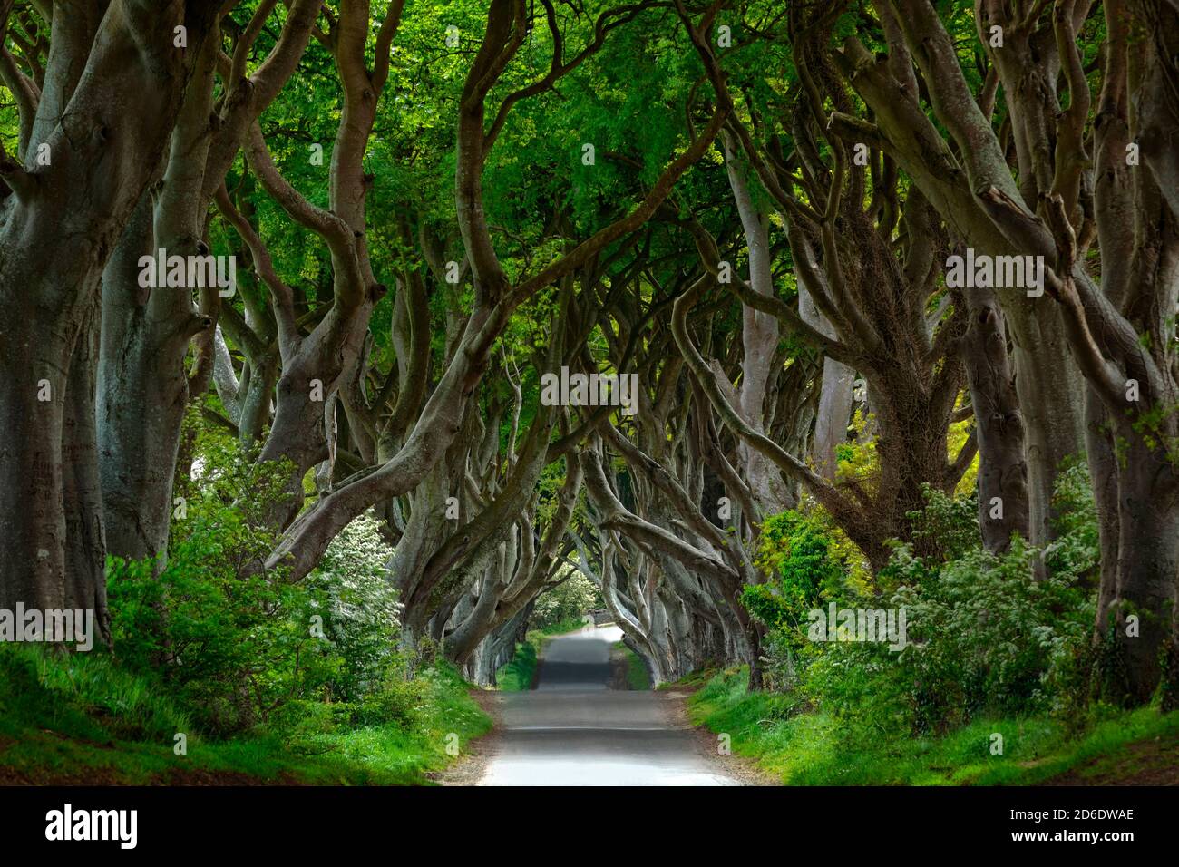 Ballymoney northern ireland hi-res stock photography and images - Alamy