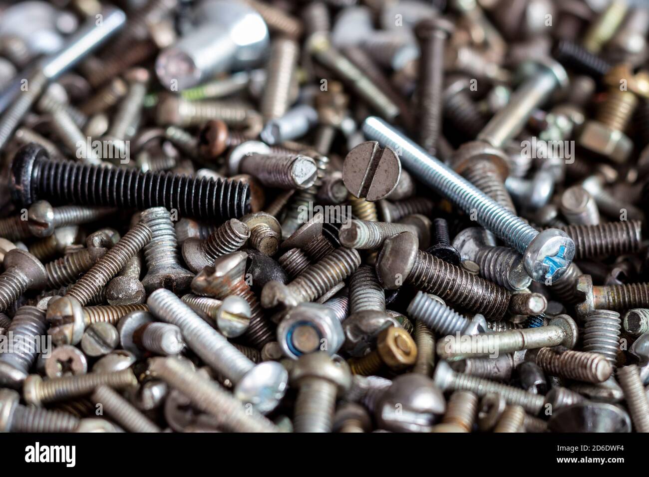 A bunch of screws, different sizes and diameters, with different slots ...