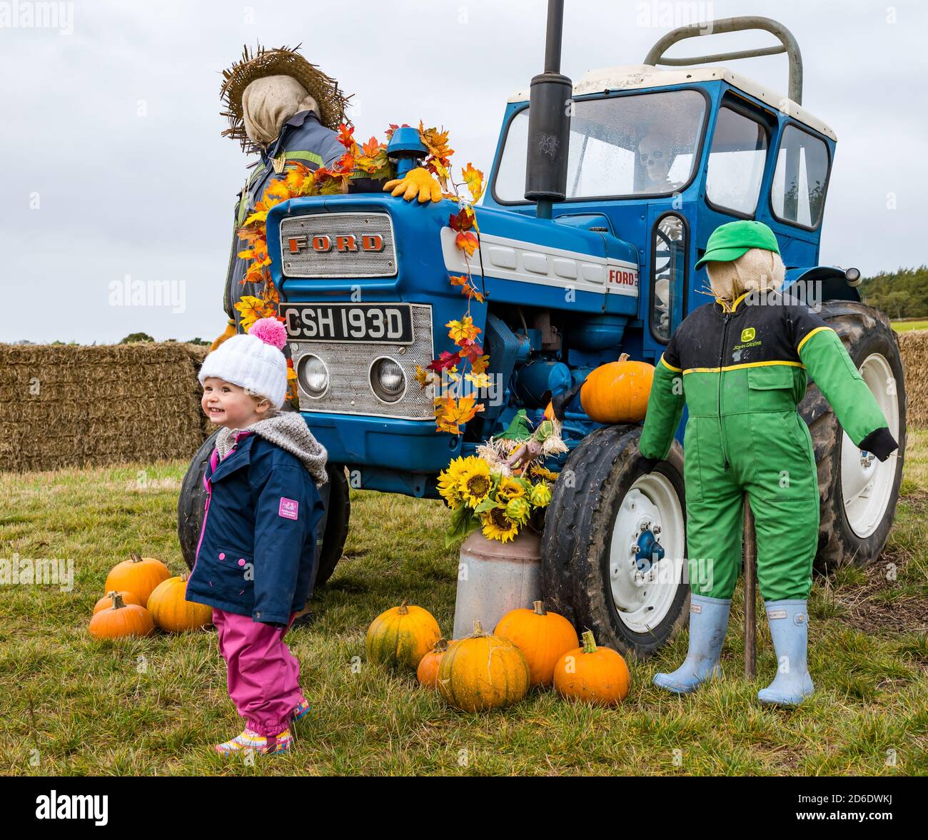 Emily patches hi-res stock photography and images - Alamy