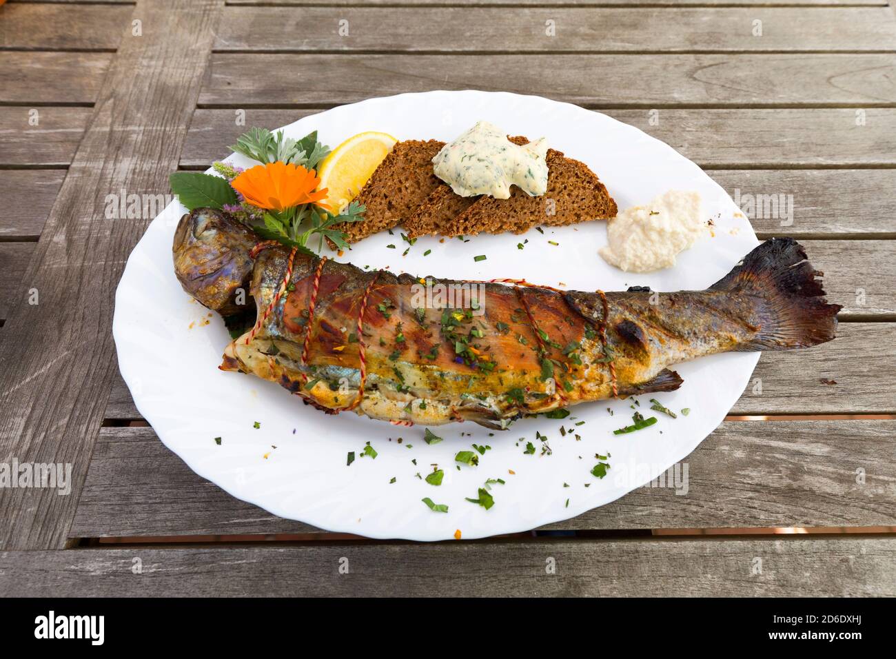 Plate courts hi-res stock photography and images - Alamy