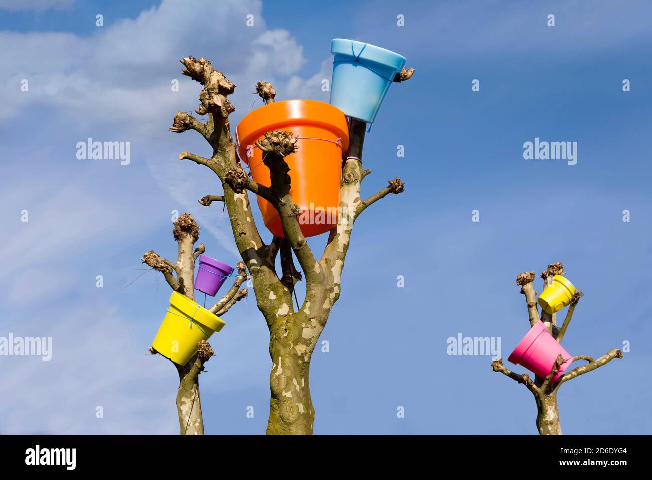 Installation of trees hi-res stock photography and images - Alamy