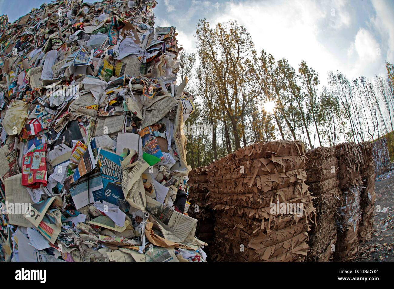Waste paper in recycling company Stock Photo - Alamy