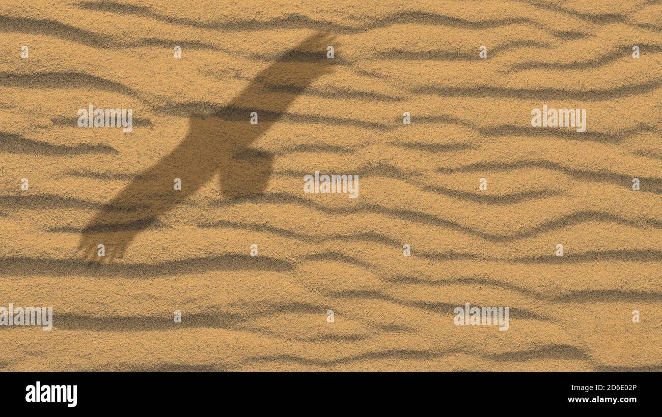 The shadow of a soaring eagle against a background of sand. Sand waves ...