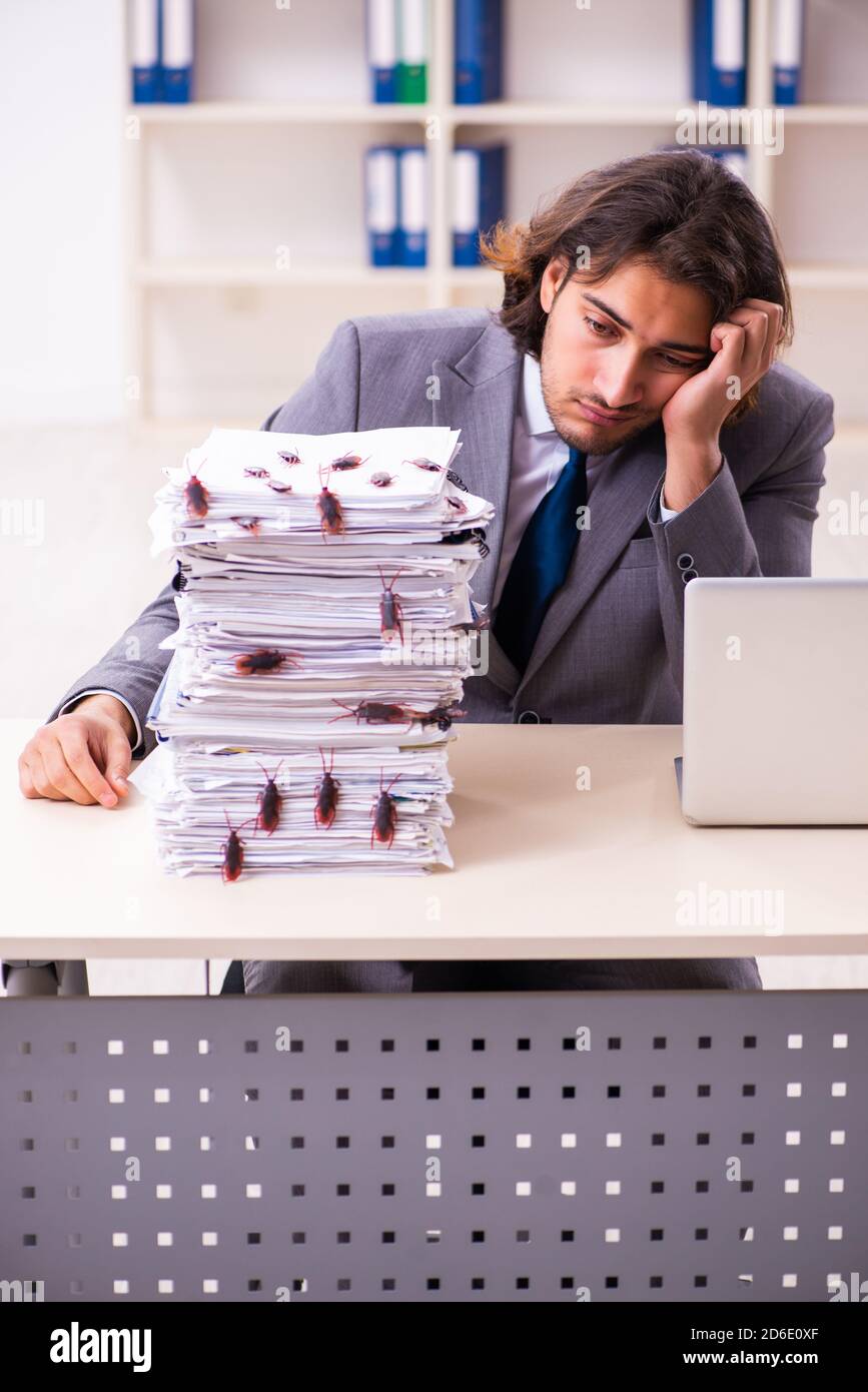 Young employee and too many cockroaches in the office Stock Photo - Alamy