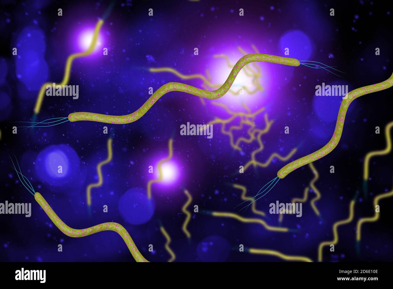 Microscope close up of curly shaped Spirella bacteria 3D illustration ...