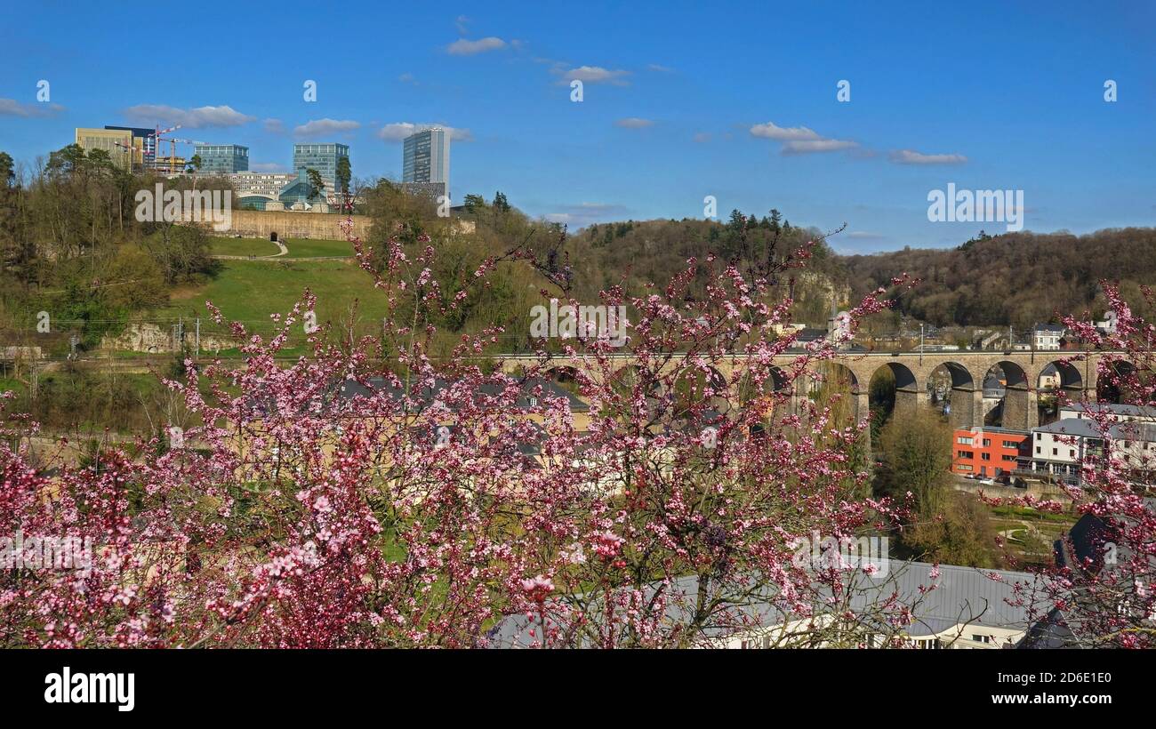 Railway viaduct in the Alzette valley and Kirchberg plateau, Luxembourg ...
