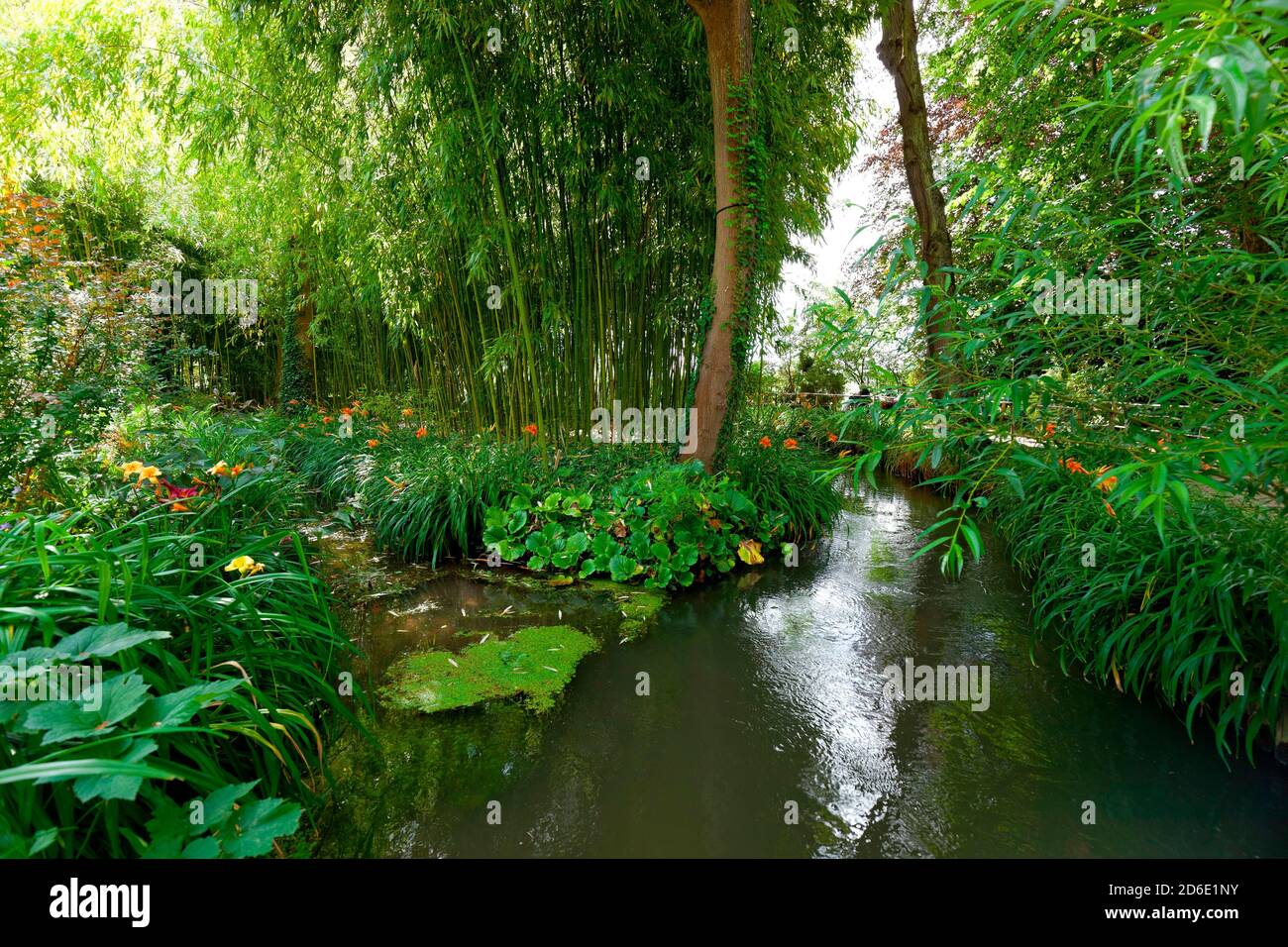 Painter painter in the gardens of claude monet hi-res stock photography ...