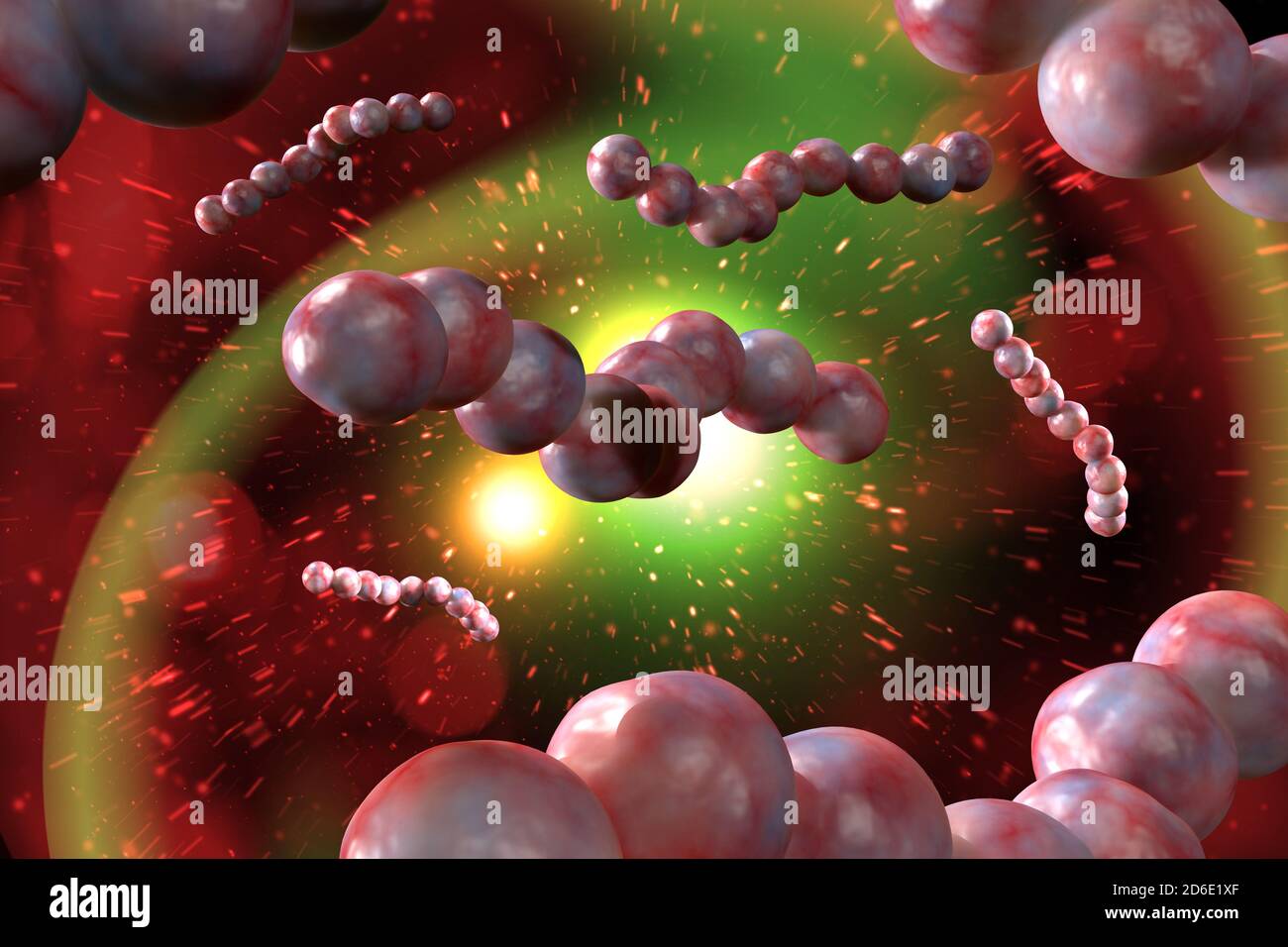 Strep Throat Virus Microscopic